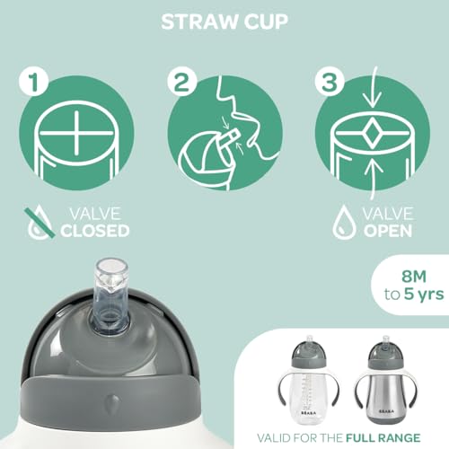 Beaba Stainless Steel Straw Sippy Cup, Sippy Cup with Removable Handles, Sippy Cup with Straw, 8+ months, 8.5 oz (Rain)