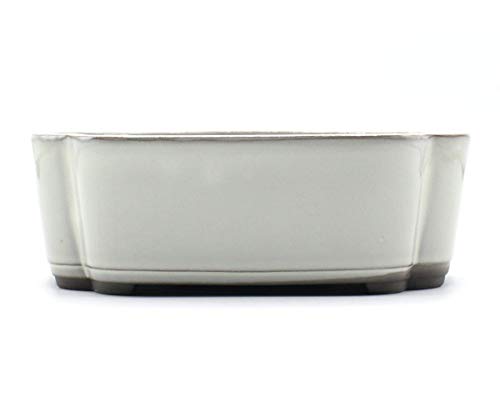 Bonsai Tree Pot Ceramic Mokko (Quince) Cut Off Shaped Glazed (6.4", Cream-Yu)