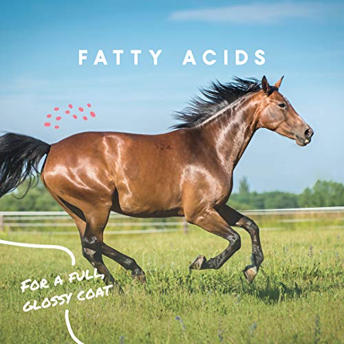 Manna Pro Cool Calories 100 | Equine Dry Fat Supplement for Healthy Weight Gain | 8 Pounds