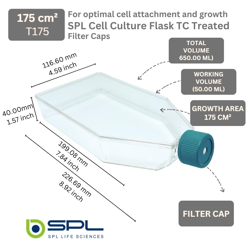 SPL Cell Culture Flask 175 cm2 (T175) Filter Cap, Treated, Sterile 40/Case