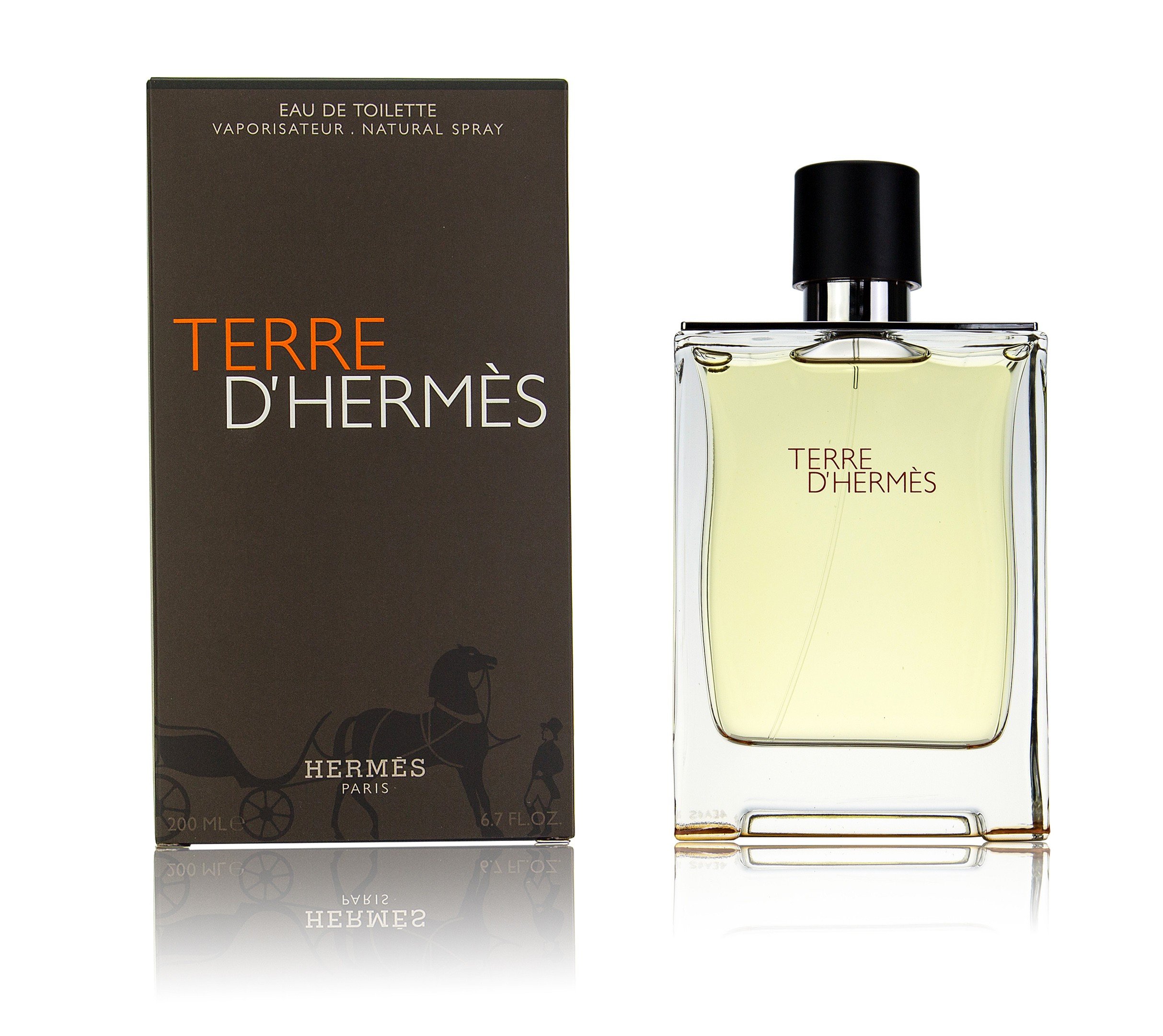 Terre D'Hermes By Hermes Eau De Toilette Spray 6.7 Oz Men