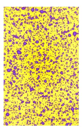 FGI SpotOn Water Sensitive Paper (WSP) for Sprayer Calibration - One Pack of 2 x3 Paper - 25 Sheets Per Pack - Reduce Waste and Ensure Consistent Application of Spray Droplets - Assess Spray Coverage