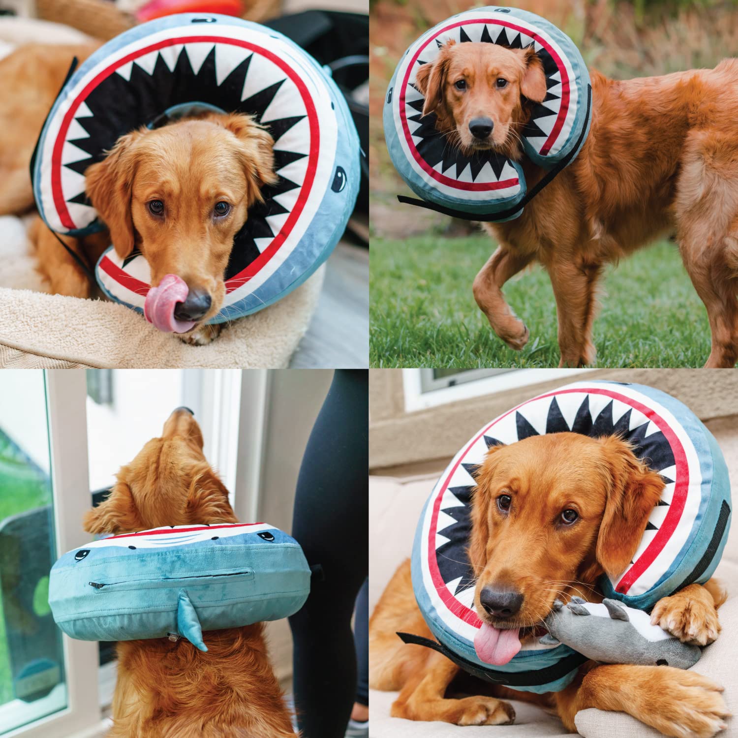 Choola Pet Shark Theme Inflatable Dog Cone Collar (Large) for After Surgery Care Bundled with Pump and Extra Tube