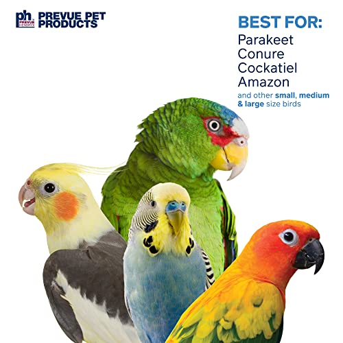 Prevue Pet Products 62606 Calypso Creations Club Bird Toy, Multicolor