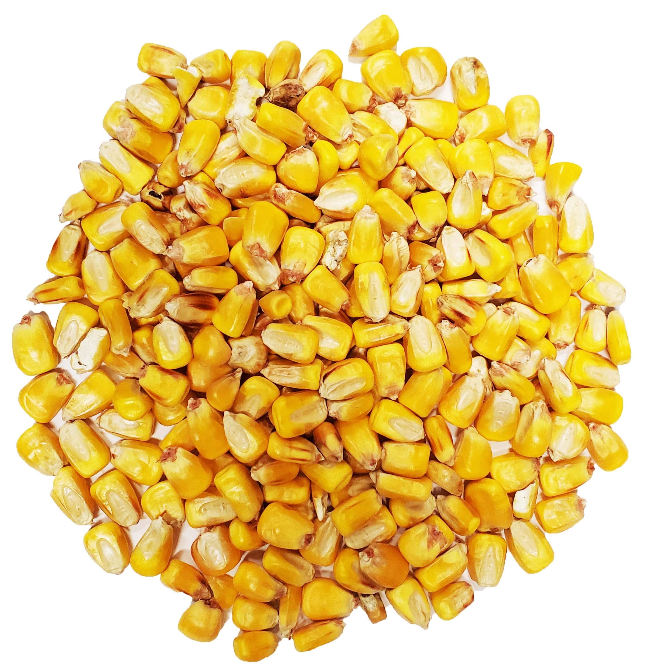 Bulk Whole Corn for Wildlife Feeding (1, 50 Pounds)