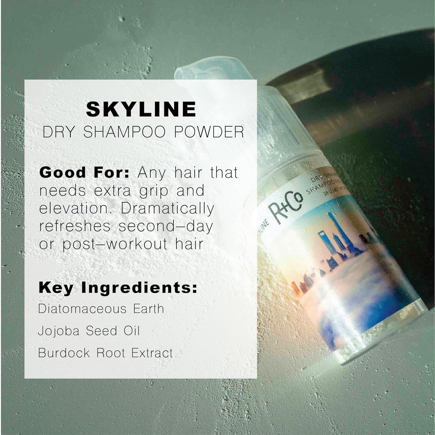 R+Co Skyline Dry Shampoo Powder | Intense Oil Absorption | Revives Volume, Hair Texture and Grip | TSA Approved Travel Size | 1 Fl Oz