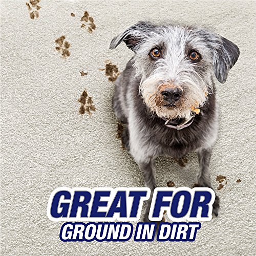 Resolve Pet Expert High Traffic, Carpet Foam, 22 Oz (Pack of 2)