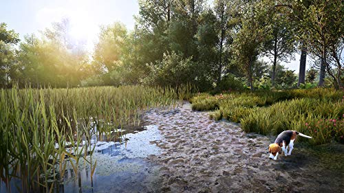 Hunting Simulator 2 - Nintendo Switch (Nintendo Switch)