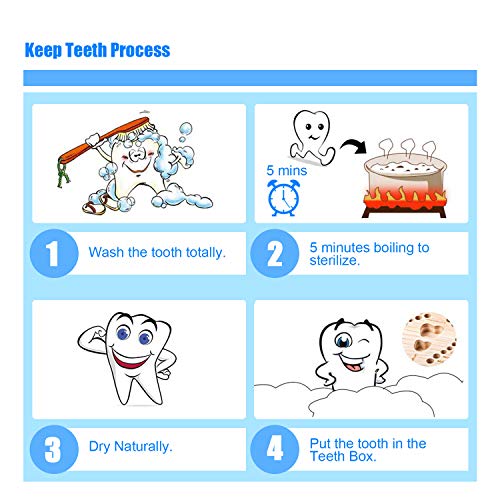 Baby Tooth Keepsake Box, Deciduous Teeth Milk Teeth Saver Boxes, Wooden First Tooth and Curl Memory Container for Child/Kids/Newborns