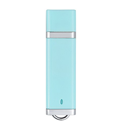 TOPESEL 10PCS 2GB USB 2.0 Flash Drive -Bulk Pack-Memory Storage Thumb Stick Light Blue