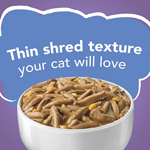 Purina Friskies Gravy Wet Cat Food, Shreds Turkey & Cheese Dinner - (24) 5.5 oz. Cans