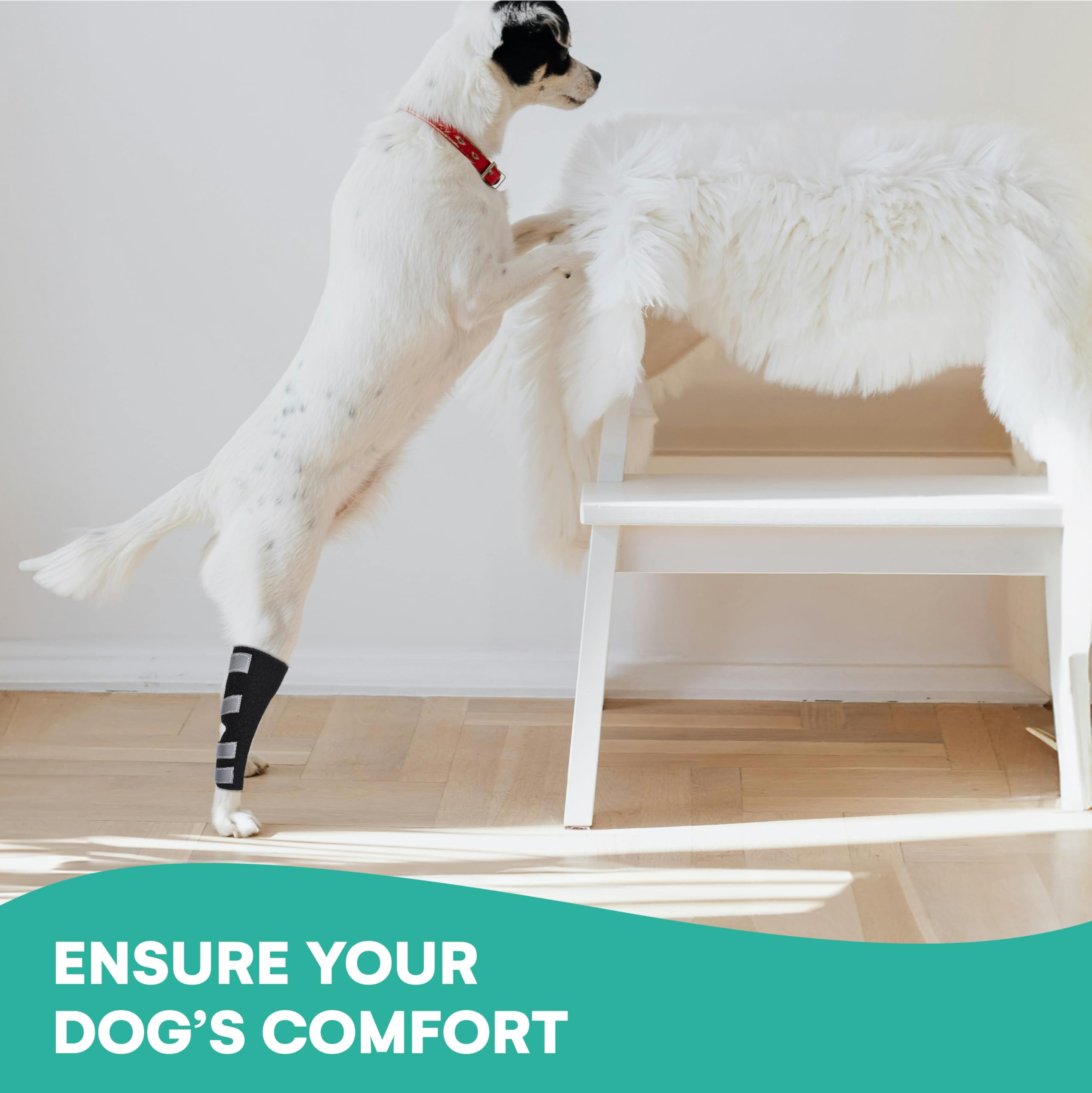 Dog Rear Leg Braces - Braces for Back Legs - Medium-Sized Dog Ankle and Small Dog Knee - Leg Sleeve, Hock and Ankle Support - Joint Wrap Compression Brace for ACL Tear - Canine Broken Leg Protector -