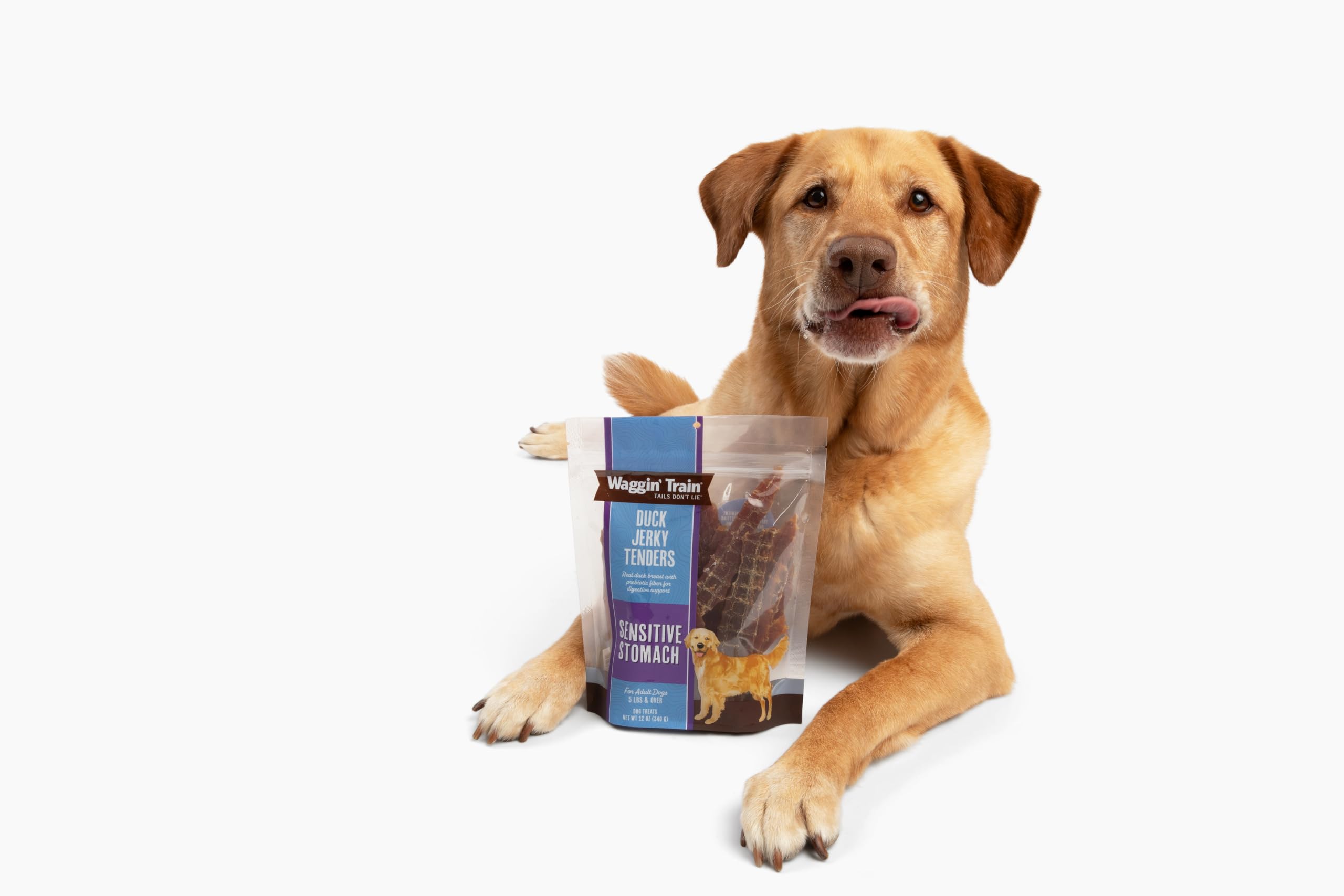 Waggin' Train Duck Jerky Tenders for Sensitive Stomach for Dogs - 12 oz Pouch - Grain Free, High Protein Dog Treat