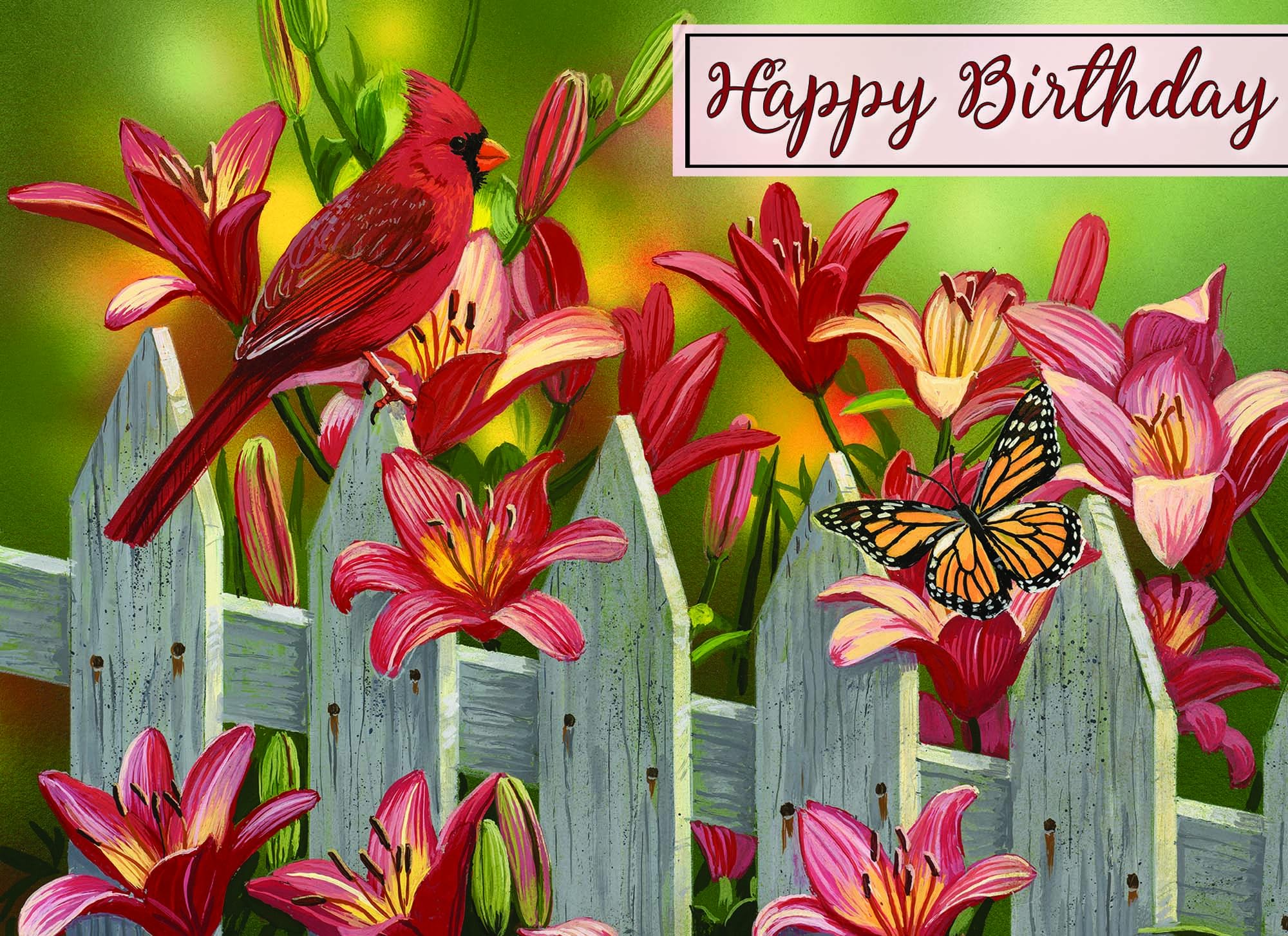 Crown Point Graphics Shared Blessings Birthday Birds 12 Boxed Birthday Cards, Beautiful Birds with KJV Scripture, Art by William Vanderdasson