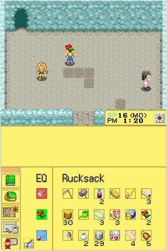 Harvest Moon DS Cute (Renewed)