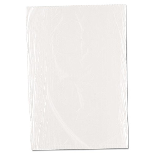 Inteplast Group Pbr1014 Get Reddi Utility Bag, 10 X 14, .75Mil, Clear, 1000/Carton