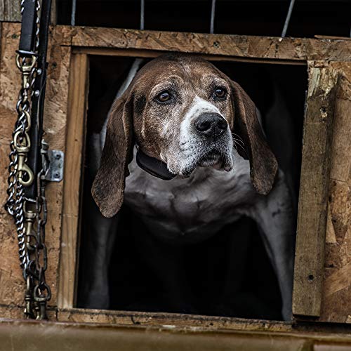 SportDOG Brand NoBark Rechargeable Bark Control Collar - Programmable, Waterproof Bark Collar