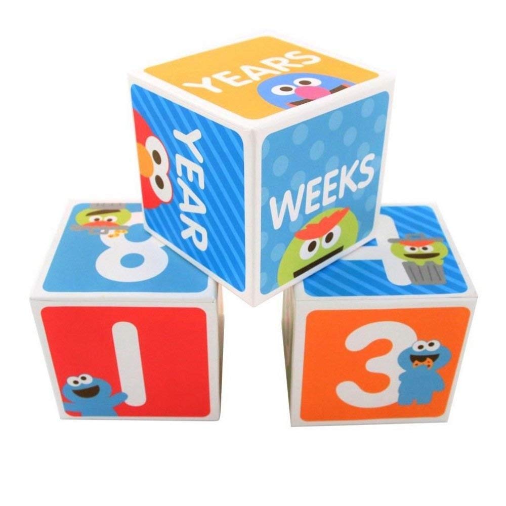 Sesame Street Photo Sharing Keepsake Age Blocks Newborn Baby Month Weeks Days Years