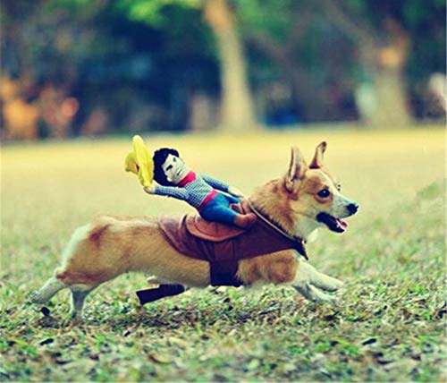 NACOCO Cowboy Rider Dog Costume for Dogs Clothes Knight Style with Doll and Hat for Halloween Day Pet Costume (S)