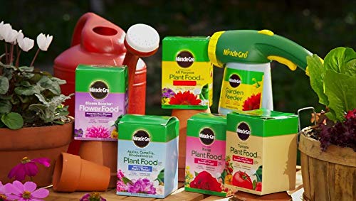 Miracle-Gro Water Soluble Rose Plant Food, 1.5 lb