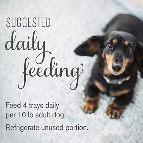 Bella Purina Natural Small Breed Wet Dog Food Variety Pack, Morsels in Sauce - (24) 3.5 oz. Trays
