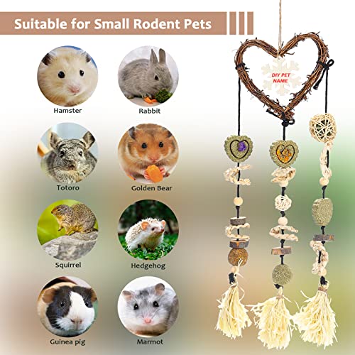 DAMPET Bunny Chew Toys, Bunny Teeth Grinding Chew Toys, Rabbit Cage Hanging Chew Toys, All Natural Materials for Guinea Pigs, Hamsters, Rabbits and Rats