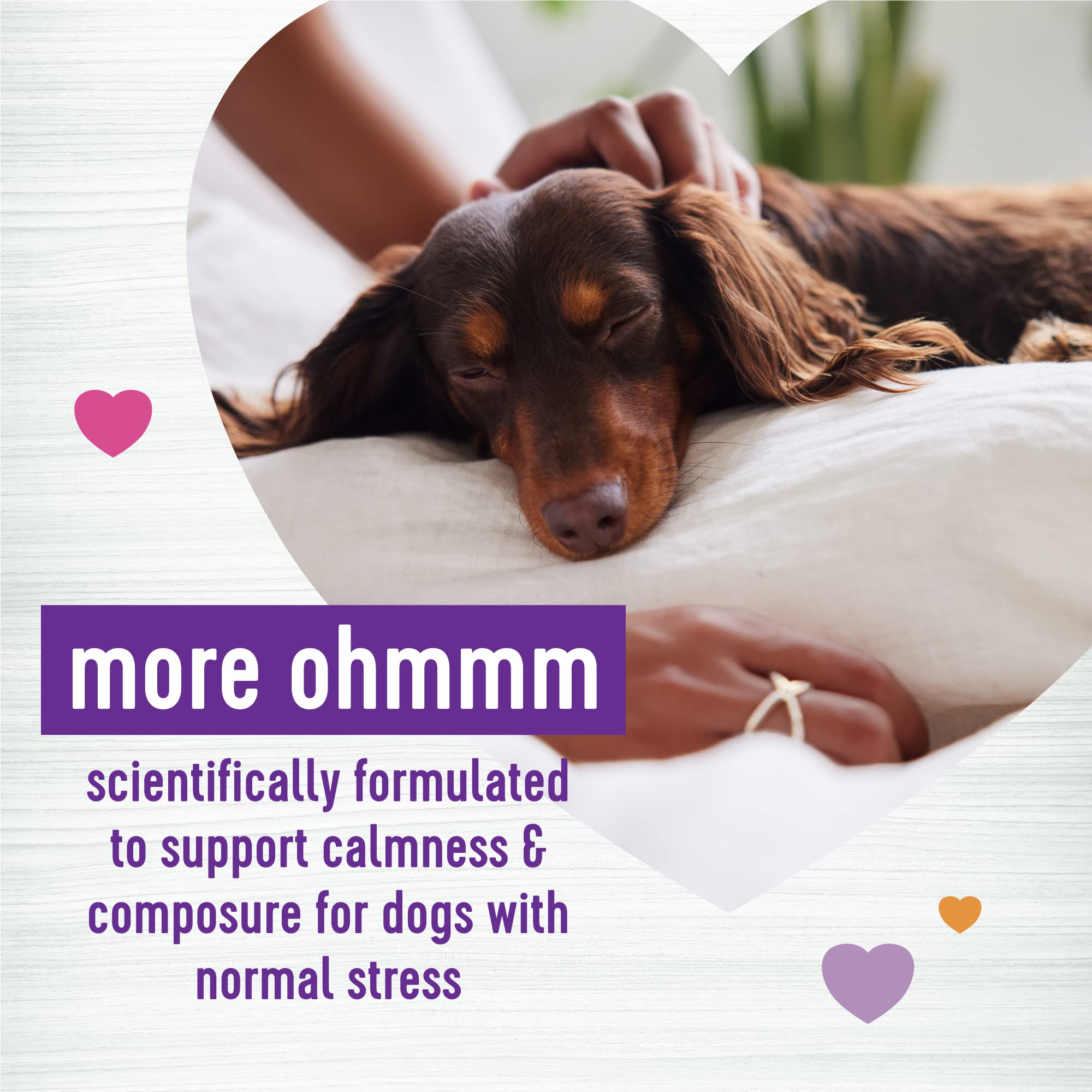 Wellness Tasty Cheese Flavored Soft Chews Calming Supplements for Dogs, 90 Count