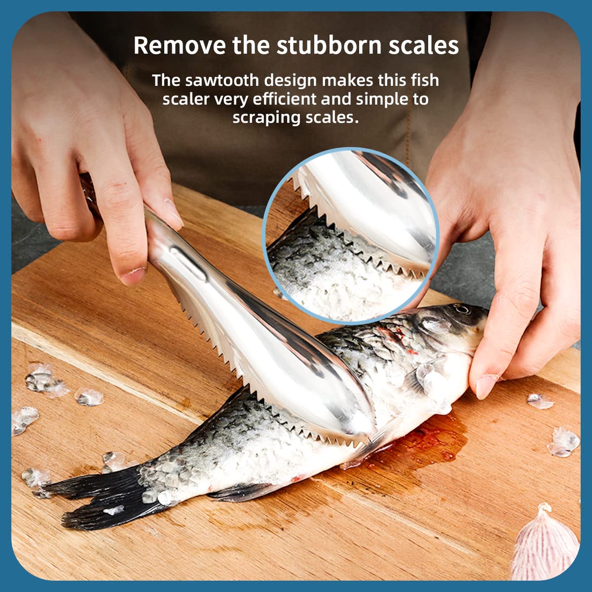 Fish Scaler Stainless Steel Fish Scaler Remover No Mess Easily Remove Fish Scales,Fish Skin Scraper for Kitchen Fish Cleaning Kit,Fish Descaler Tool Suitable for All Fish,with One Glove⦠(Large)