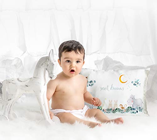 Silky Tales - Toddler Pillowcase 100% Silk - Kids Pillow Cover 13x18 (White with Light Pink and Blue)