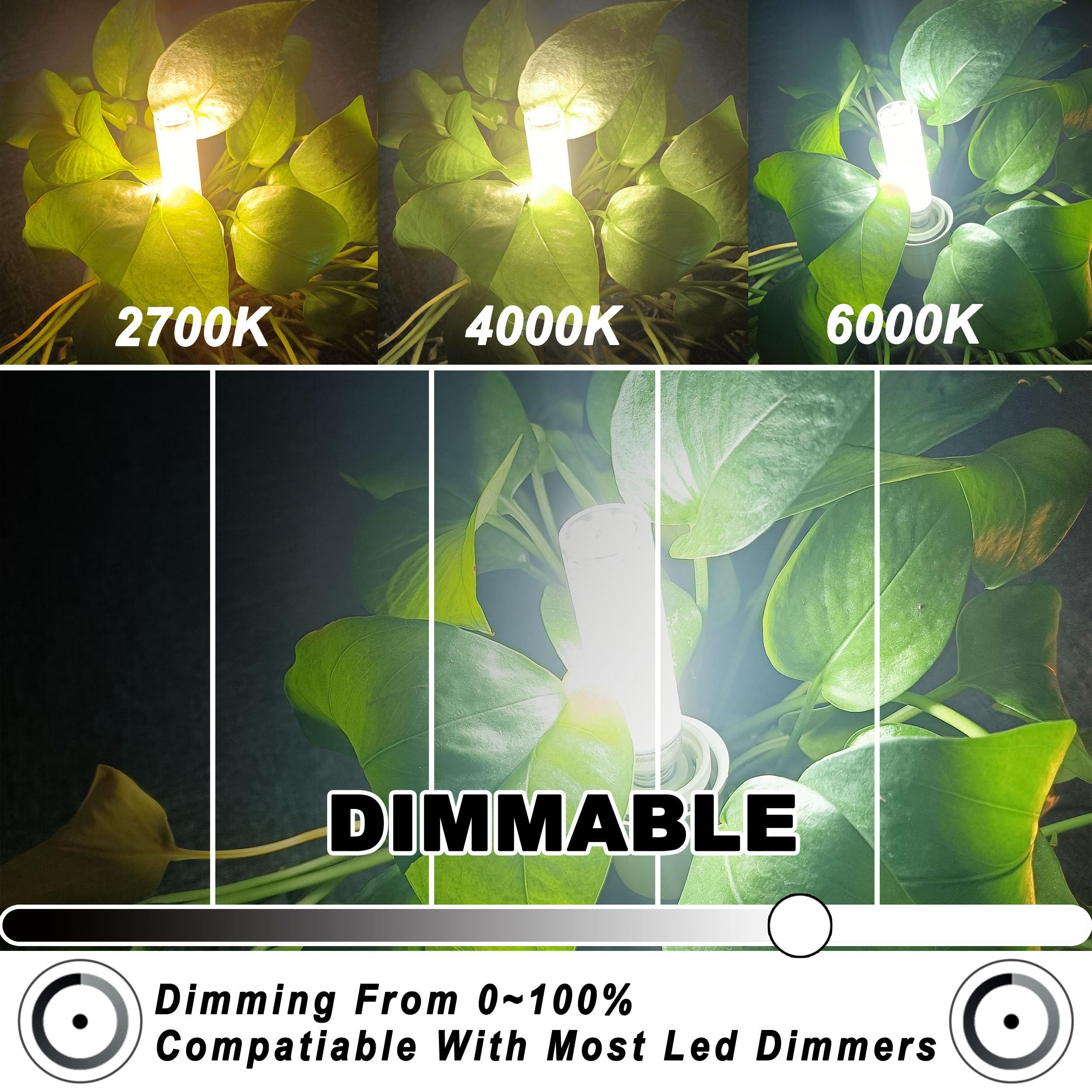 E11 Led Bulbs 120V 100W Halogen Candelabra Bulbs Equiva Dimmable,T3 T4 Mini Base JDE11 Bulb,6000K Daylight Cool White 10W 1000LM E11 for Chandeliers,Candelabra,Ceiling Fan ,Cabinet Lighting,5Pack