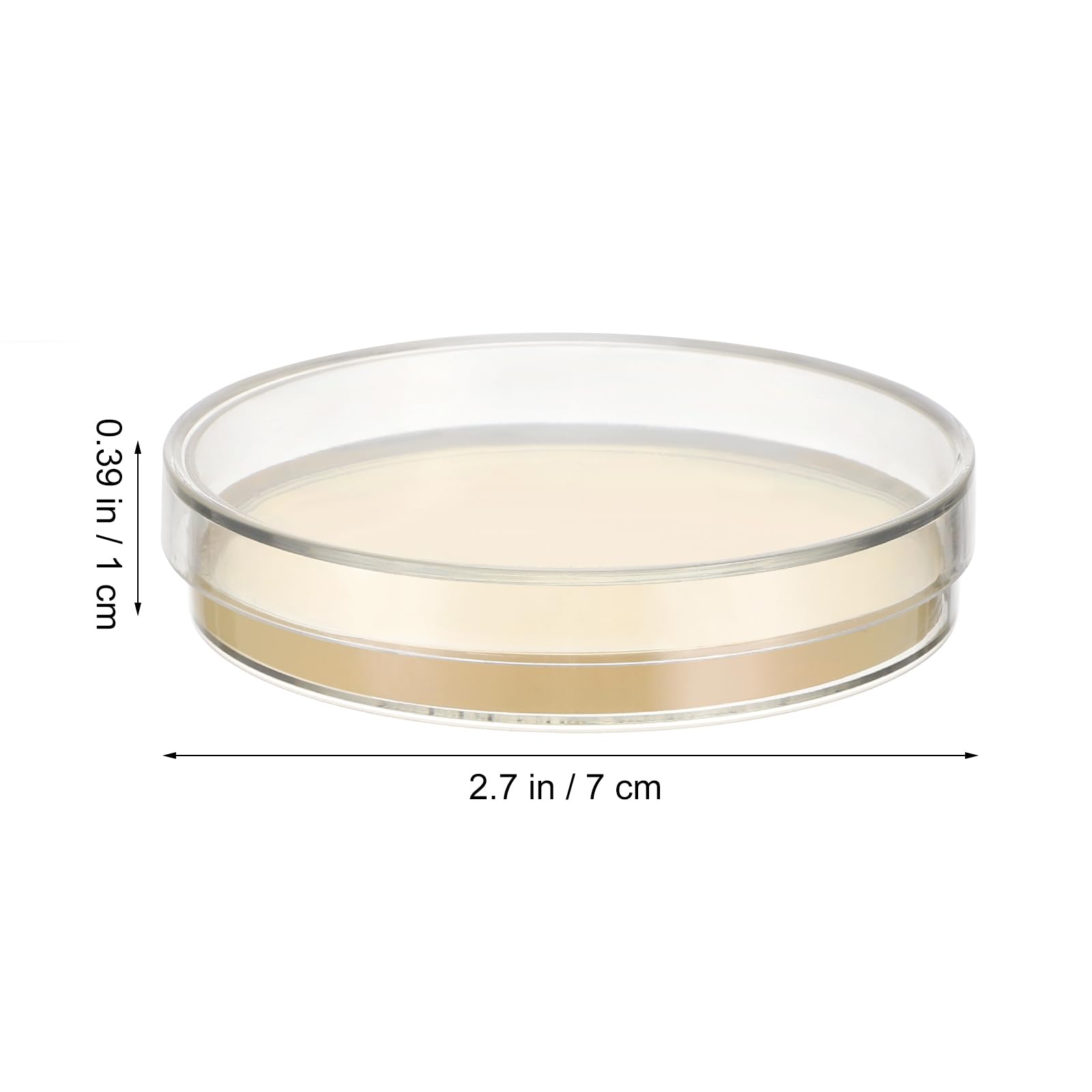 Generic Agar Plates:Prepoured Nutrient Agar Petri Dishes Science Projects Supplies Growth Medium for Mushrooms & Science Fair Projects,10 pcs