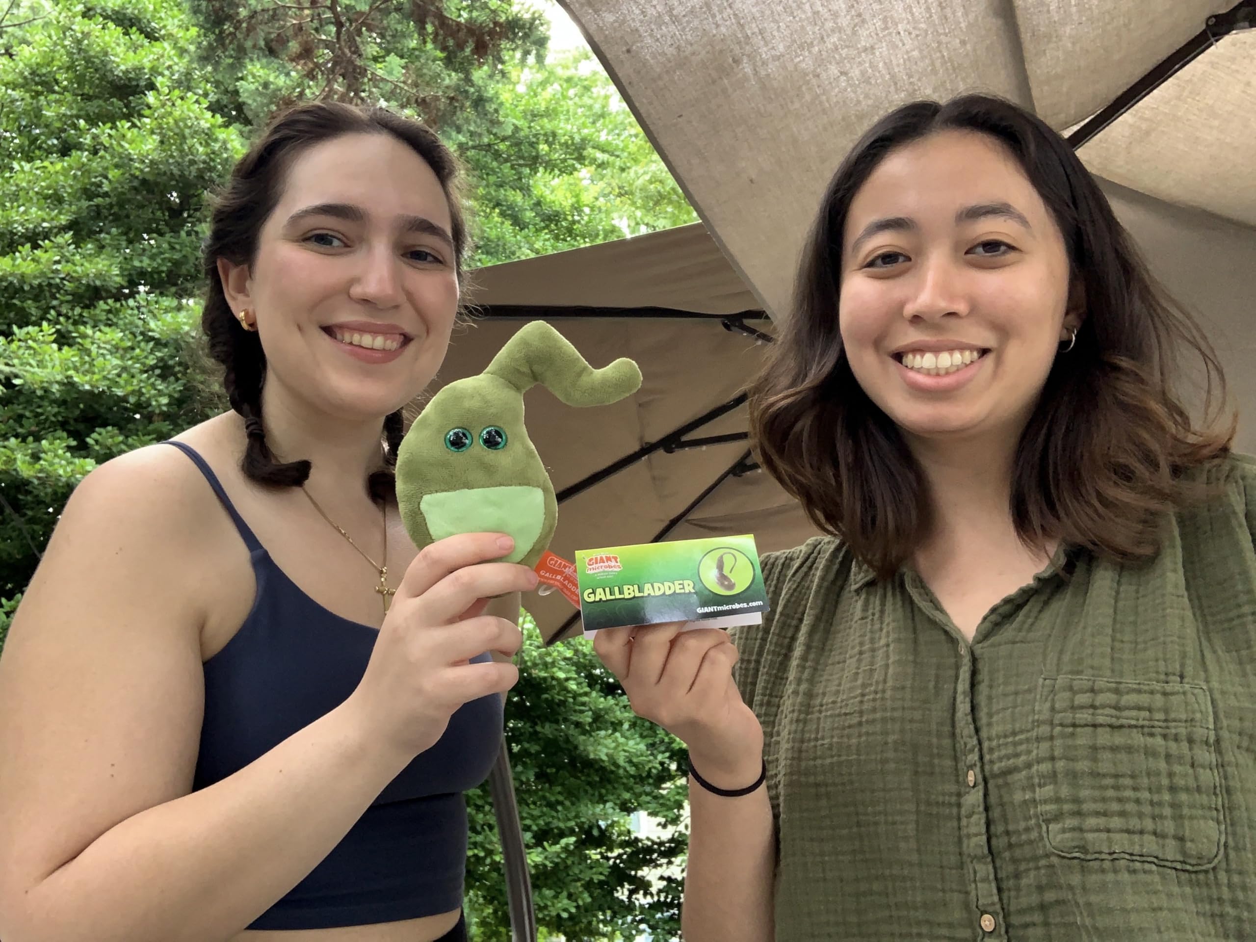 GIANTmicrobes Gallbladder Plush, Gallbladder Stuffed Animal, Gallbladder Surgery Gifts, Gallbladder Plush Toy, Gallbladder Removal Gift, Gastroenterology Gifts, Gastroenterologist Gifts, Get Well Gift