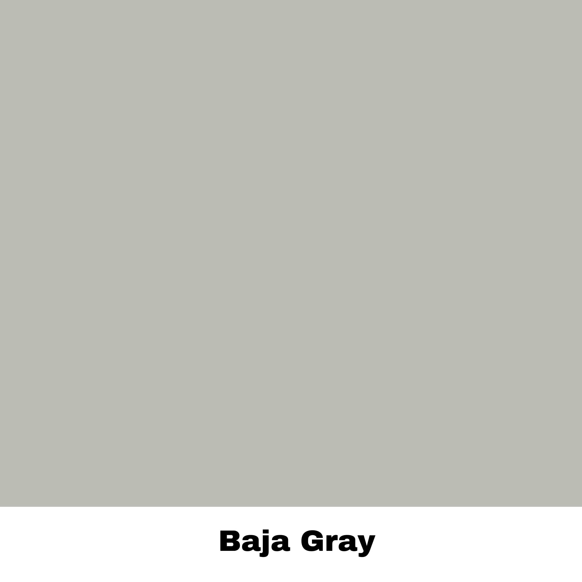Dixie Belle Silk All-in-One Mineral Paint | Salt Water (16oz) | Off-White All-in-One Water Based Primer + Topcoat | Durable Furniture Paint | Low Reflective Finish