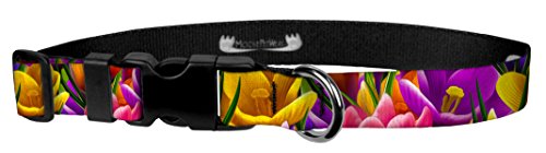 Moose Pet Wear Floral Print Dog Collar - Waterproof Cute Floral Female Dog Collar - 1 Inch Adjusts 13 - 21 Inches, Large, Spring Bloom (ACDL1-L-SPR-BLM)