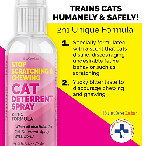 Cat and Kitten Scratch Spray Deterrent - Pet Repellent Spray for Cats & Kittens - Non-Toxic Indoor Anti Cat Scratching Formula - BLUECARE LABS