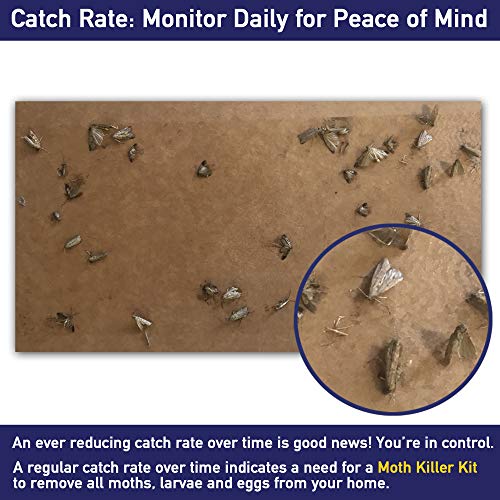 MothPrevention Powerful Moth Trap Refill Strips | 3X Twin Packs (6 Strips in Total) - for Clothes Closet Moths - Clothes Moth Traps | Moth Pheromone Traps for House | Results Guaranteed!