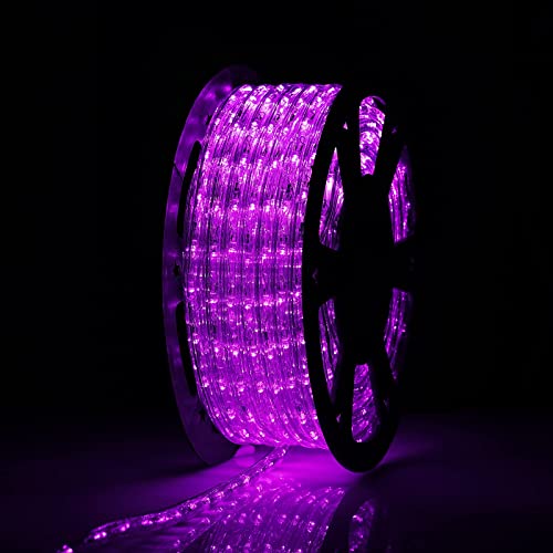 Buyagn 100Ft Rope Lights Outdoor, 110v Christmas Lights Outdoor Waterproof Decorative Lighting for Indoor/Outdoor, Deck, Patio, Backyards, Halloween and Christmas Decorations(Purple)