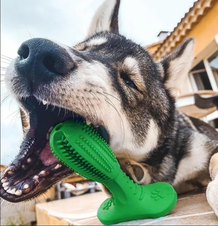 Dental and Treat Chew Sticks β Fresh Breath & Plaque Control β Peanut Butter Chew Toy - for Dogs, Pigs, Rabbits, or Other Pets - (Green)