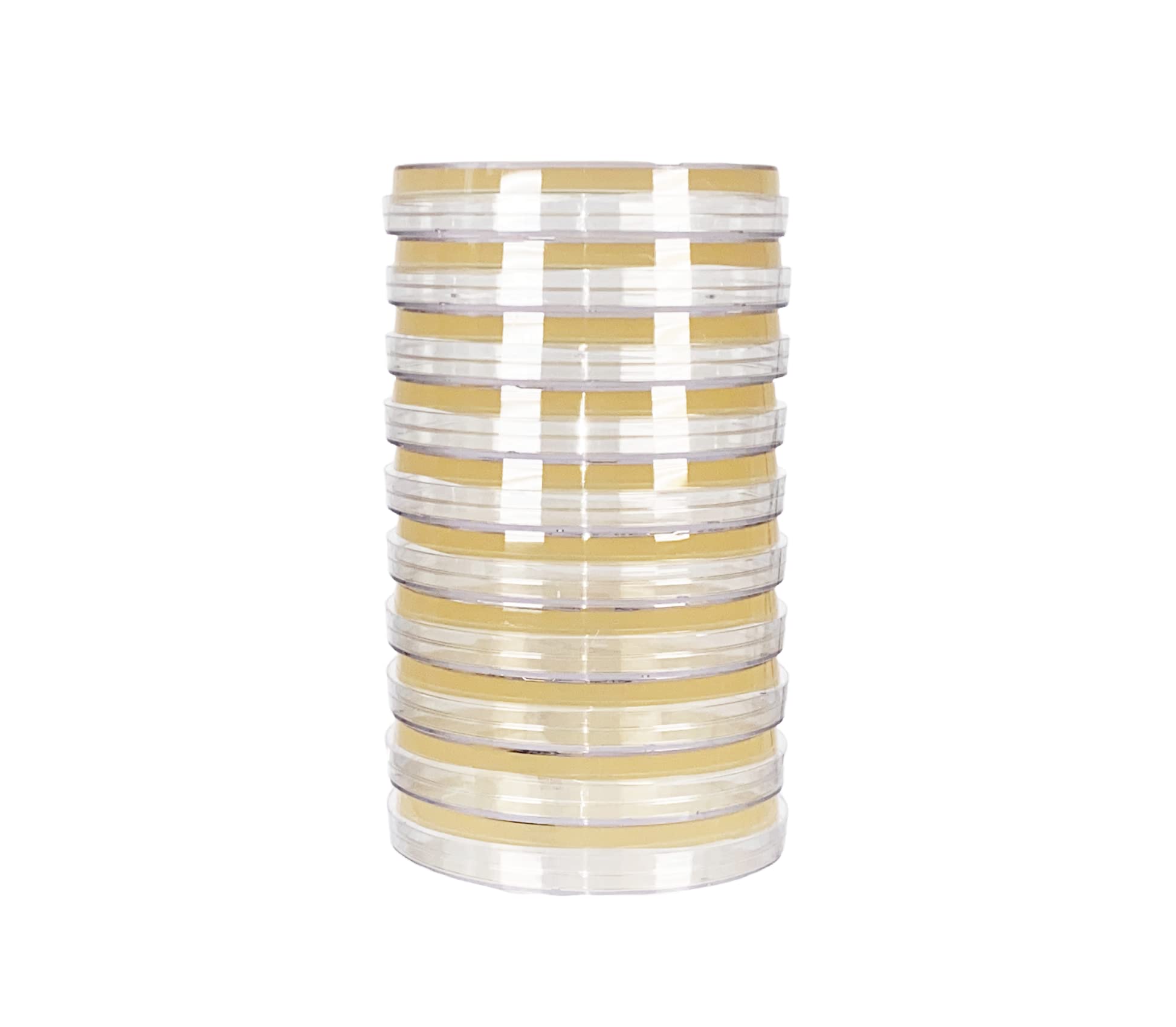 Potato Dextrose Agar (PDA) with Tartaric Acid, (10-Pack), Pre-Poured, 15x100mm Petri Plates. Great for Mushroom Cultivation. for The Isolation of Yeasts and Molds.