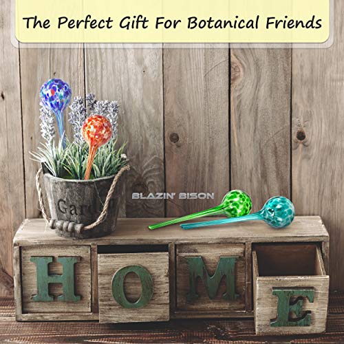 Blazin' Bison Indoor Plant Watering Globes | Automatic Self Water Bulbs | Aqua Water Globe | Decorative Hand-Blown Glass | 4pc Deluxe Set (Large)