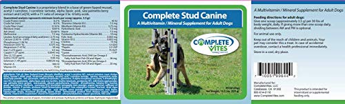 CompleteVites Stud Canine – Vitamin and Mineral Supplement for Stud Dogs-Large Dog Size(Over 25lbs)Veterinary formulated-48 nutrients-Omega Fatty Acids,Amino Acids,Digestive Enzymes + More 315 Grams