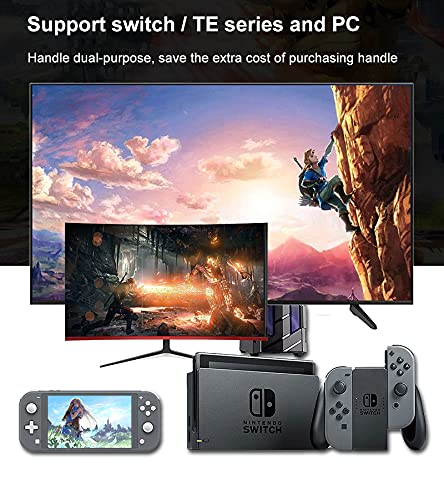 FENGCHUANG Wireless Gamepad,Nintendo Switch Controllers,Bluetooth Wireless Controller,Switch Pro Controller for Nintendo Switch/Switch Lite