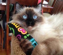 Kitty Kick Stix 11" Catnip Kicker Toys - Set of 2 Cat Kickers, The Original Made in USA