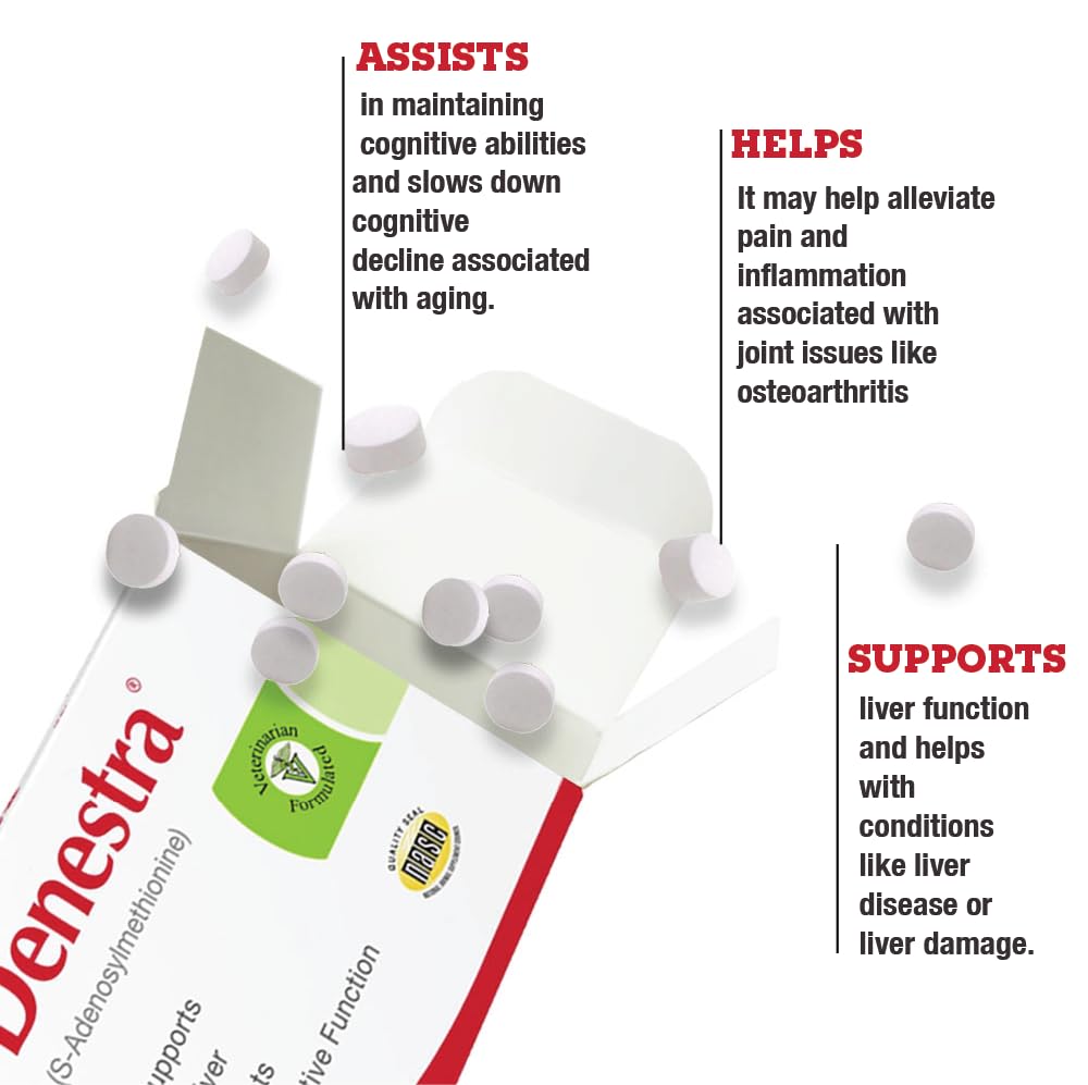 Denestra - Same for Dogs - S-Adenosyl-L-Methionine - Liver, Joint and Cognitive Support for Large Dogs - Vet Approved - 400 mg - 60 Tablets