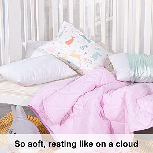NTBAY 2 Pack Cotton Down Alternative 13x18 Toddler Pillows, Machine Washable - Soft and Breathable Baby Travel Small Pillows for Sleeping, Ideal for Daycare, Crib, Cot