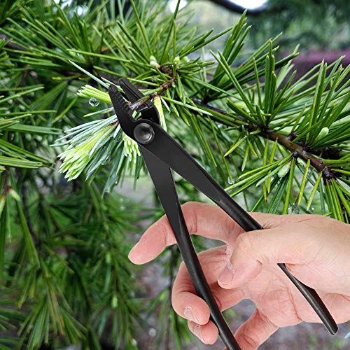 Bonsai Pliers, 200mm Black Manganese Steel Alloy Branch Pliers Bonsai Wire Plier with Round End for Safe Use Gardening Tool Bonsai Tools
