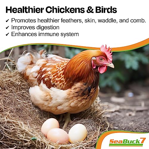 SeaBuck 7 Chicken & Bird Supplement with Sea Buckthorn to Improve Egg Quality (1-Month Supply for 20 Chickens) – Earlier Laying, Egg Production Booster & Higher Quality Eggs