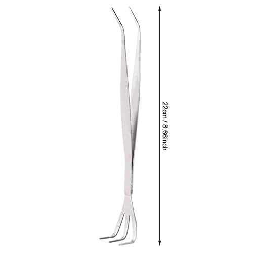 Bonsai Rake,9.8in 2-in-1 Stainless Steel Root Rake 3 Prong Root Rake Loosen Soil Bonsai Tools Ergonomic Handle Tweezers for Gardening Plants