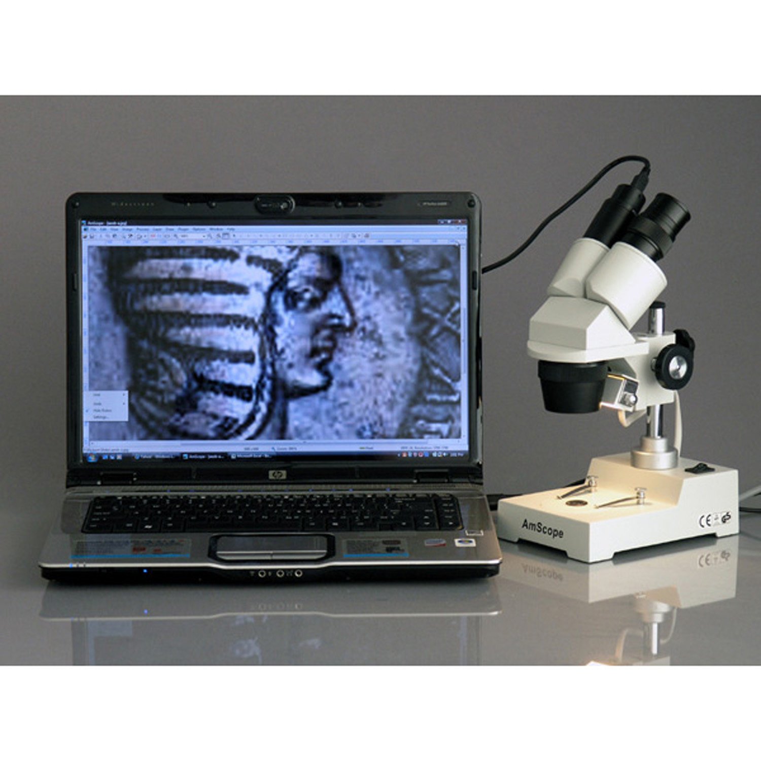 AmScope SE303-PZ Binocular Stereo Microscope, WF10x and WF20x Eyepieces, 10X/20X/30X/60X Magnification, 1X and 3X Objectives, Tungsten Lighting, Reversible Black/White Stage Plate, Pillar Stand, 110V