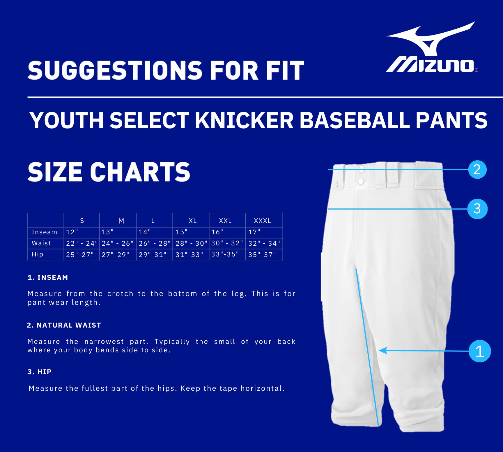 Mizuno Youth Premier Short Pant, Large, Dark Charcoal